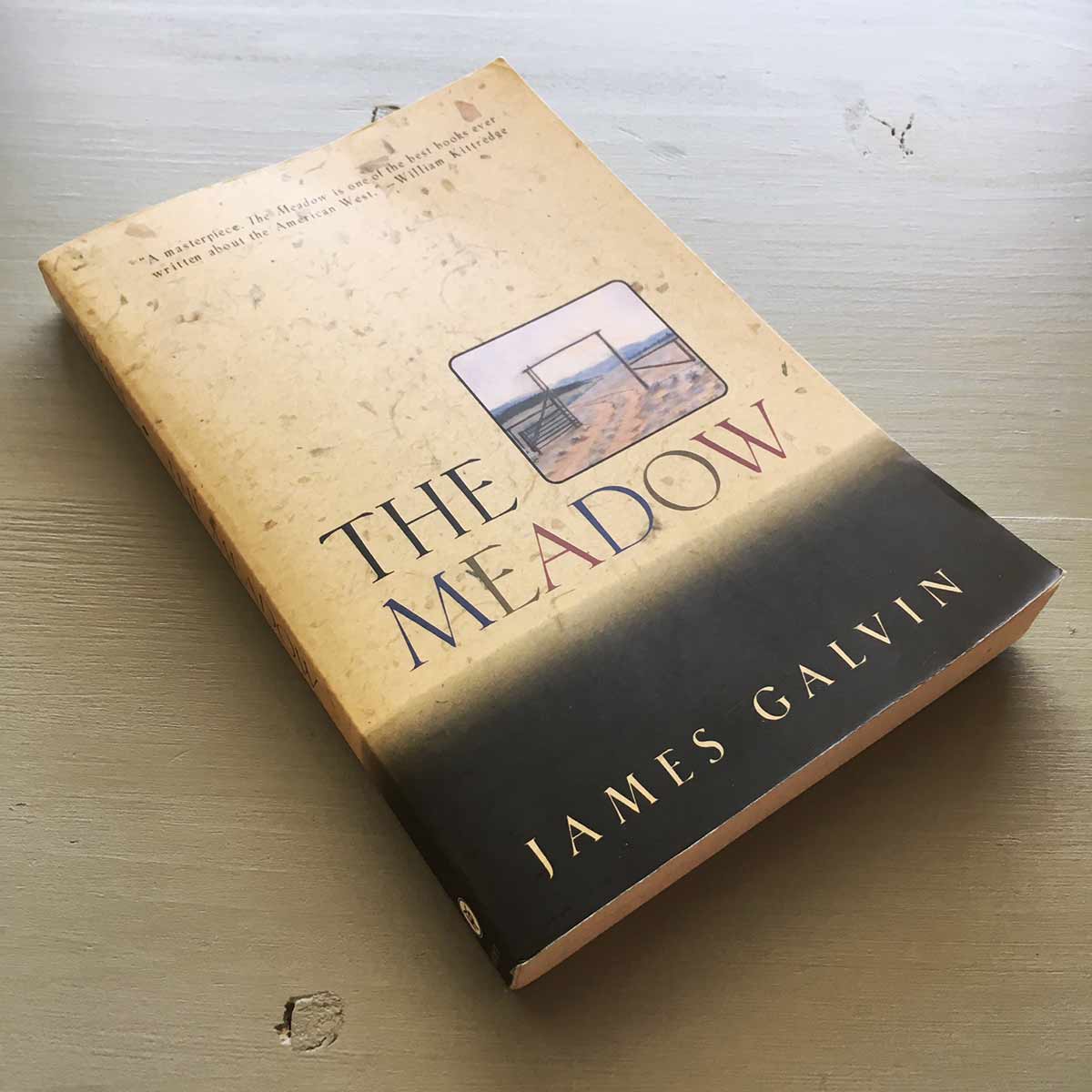 Read: The Meadow – Shifter