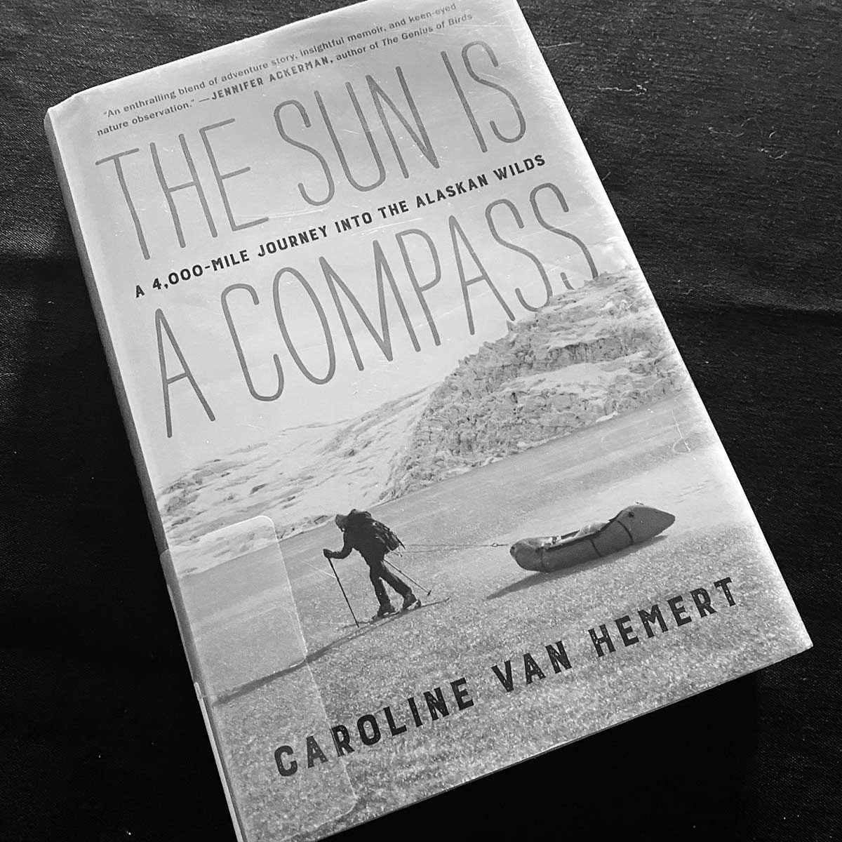 Read: The Sun is a Compass – Shifter