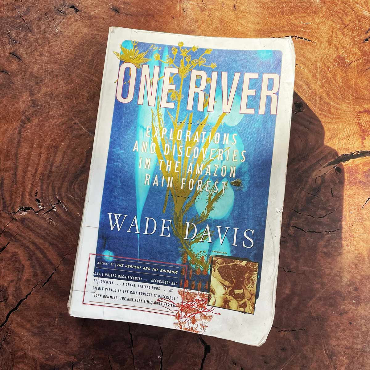 Read: One River – Shifter