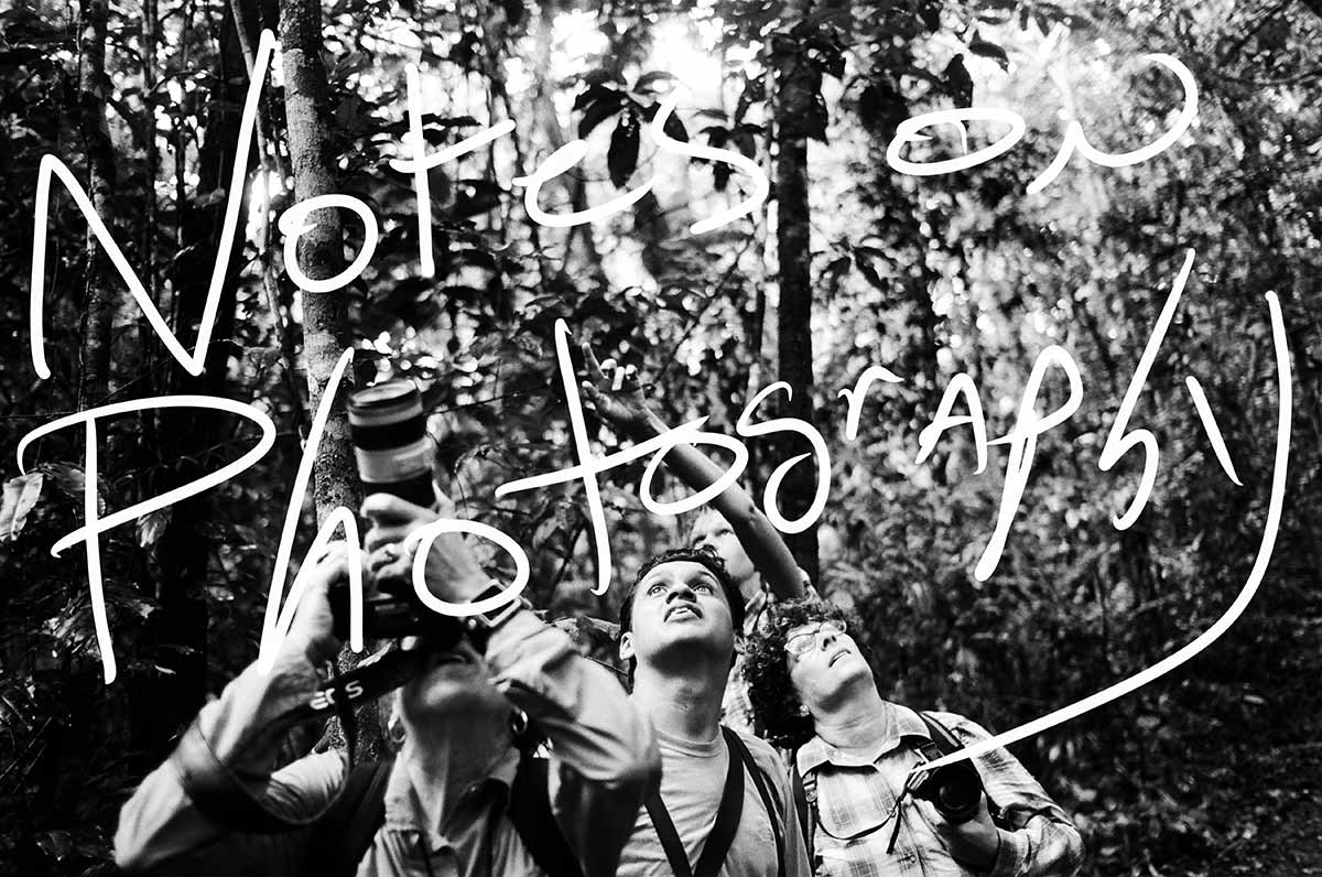 Create: Notes on Photography 9 – Shifter