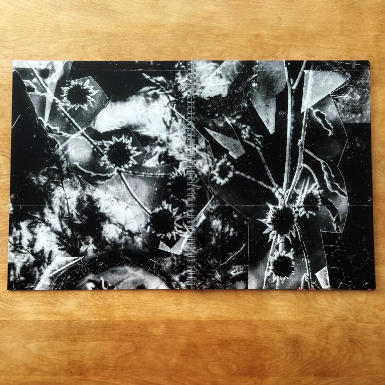 Creative: Collateral Damage – Shifter